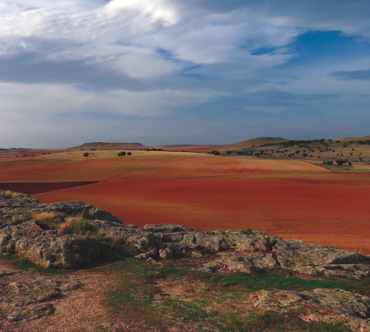 Book - Founder of Sandhurst, Maj-General John Le Marchant – Sandhurst Trust